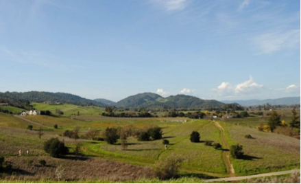 Alston Park - City of Napa Tour - Downtown Napa Event