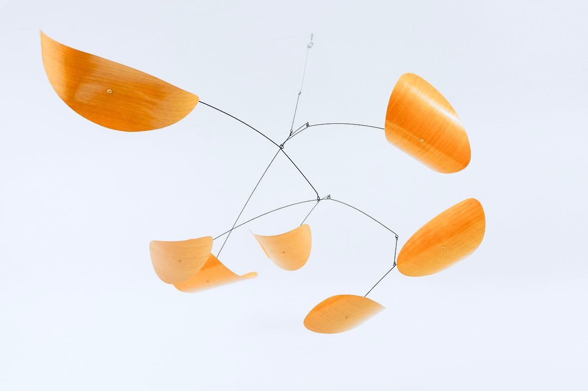 Ærena Gallery - DoNapa