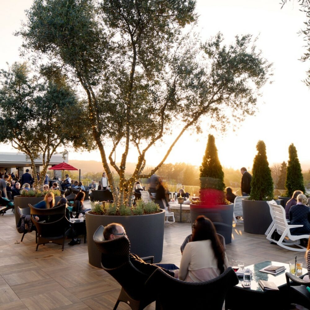 Mark Harold & John Wheeler at Sky & Vine - Downtown Napa Event