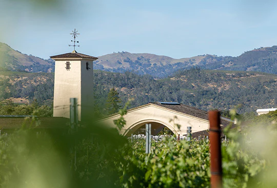 Robert Mondavi Vintage Premiere - Downtown Napa Event