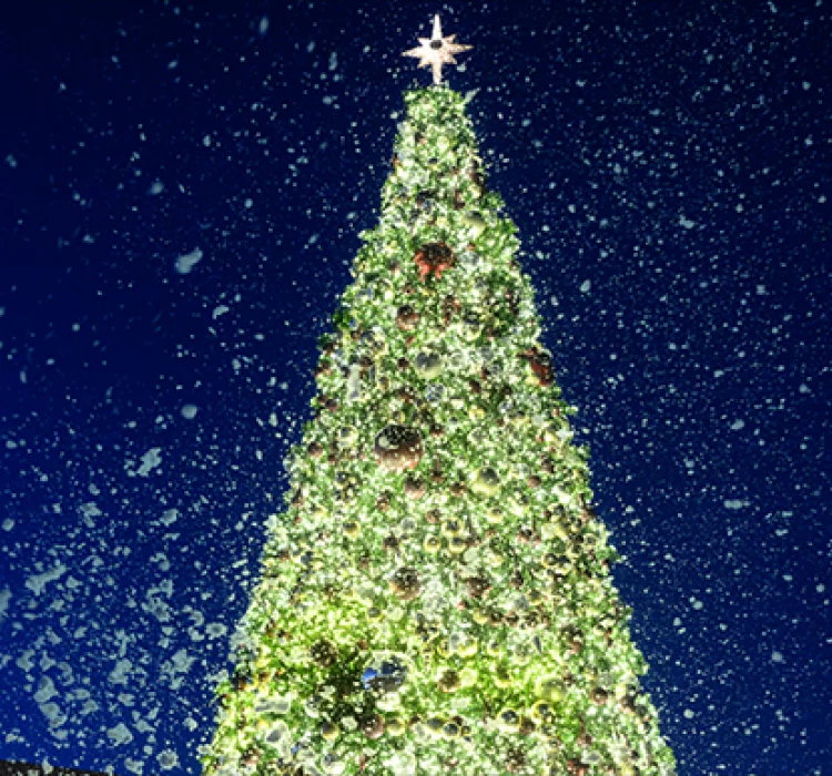 Meritage Tree Lighting Ceremony - Downtown Napa Event