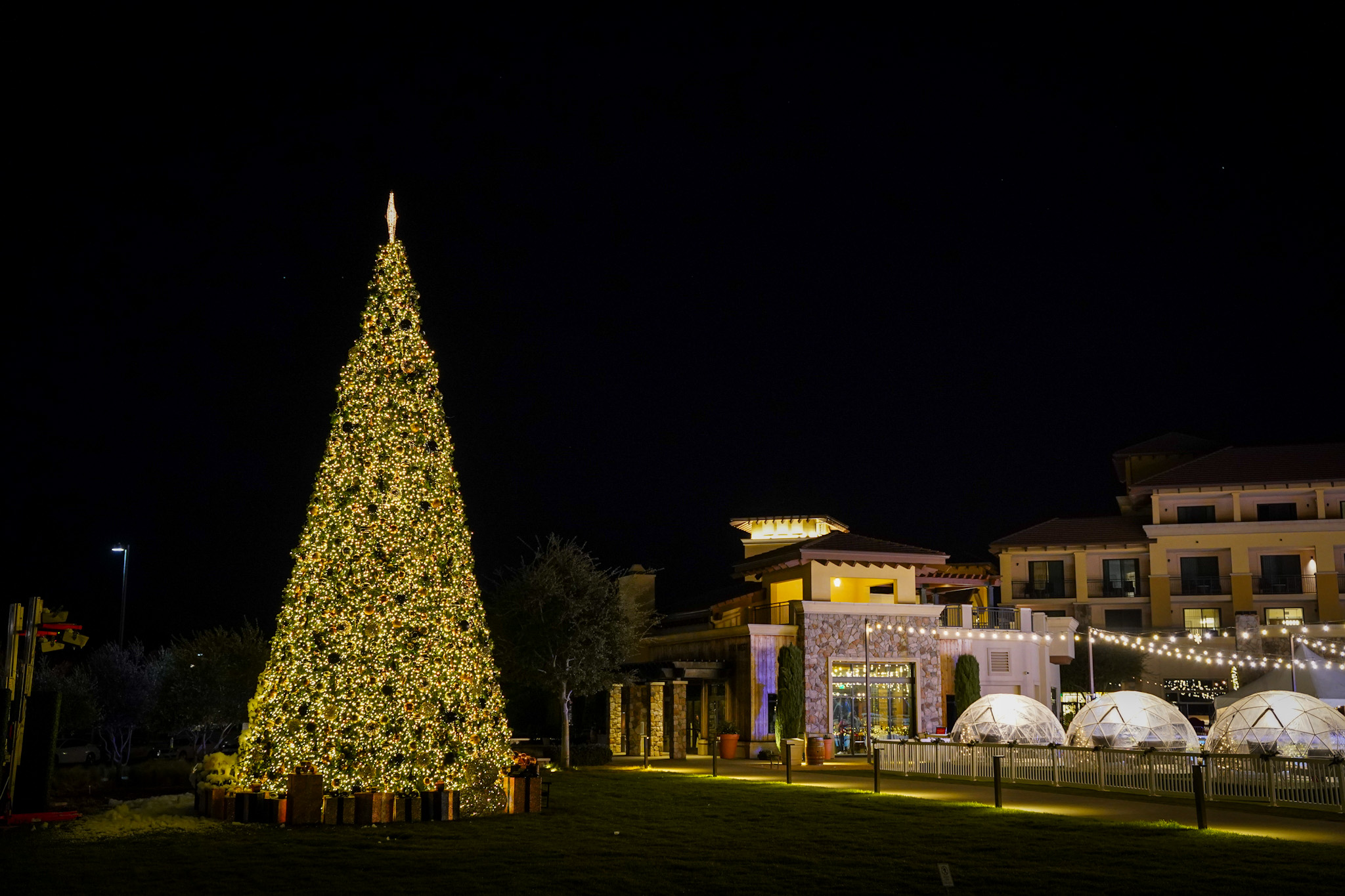 What’s New in the City of Napa Winter 2024/2025 - DoNapa