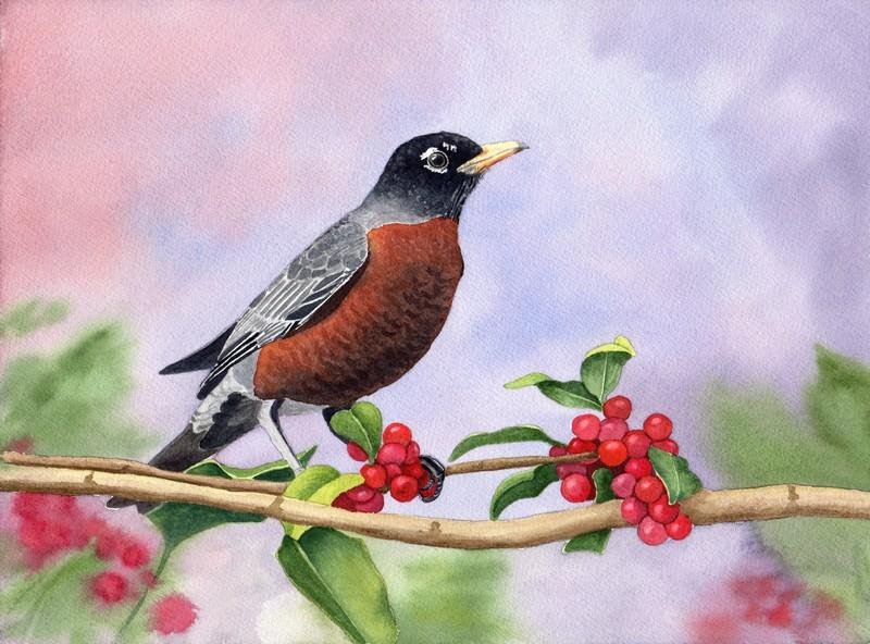 DIANE POPE WATERCOLORS CLASS - Using Masking Fluid - Downtown Napa Event